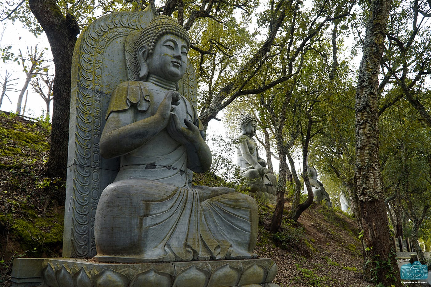 Visitar o Bacalhôa Buddha Eden no Bombarral - Espreitar o Mundo
